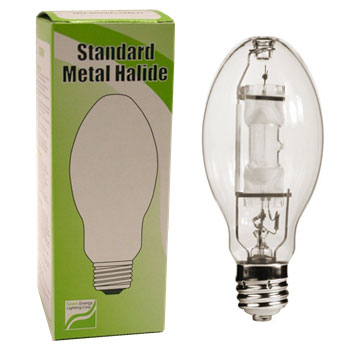 MH175/U/MOG/4K/ED28 #20121 – Bulbstock