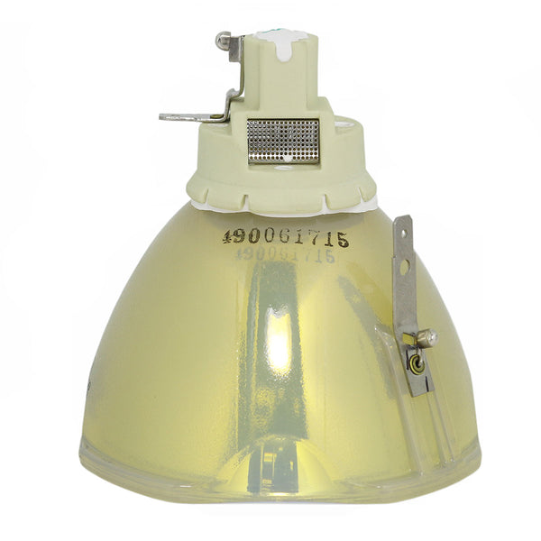 Hitachi DT01731 Philips Projector Bare Lamp – Bulbstock