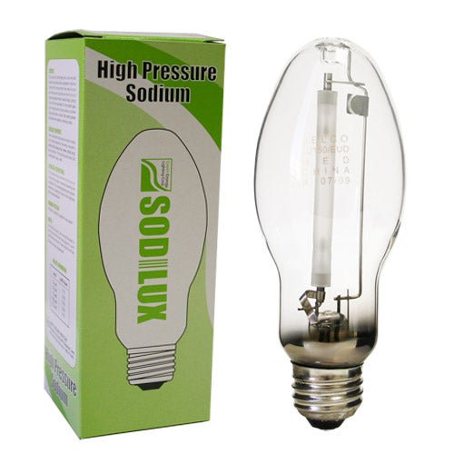 LU70/MED #20702 – Bulbstock